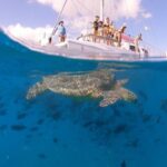 Oahu: Waikiki Turtle Snorkeling Adventure Cruise - Who Should Consider This Tour?