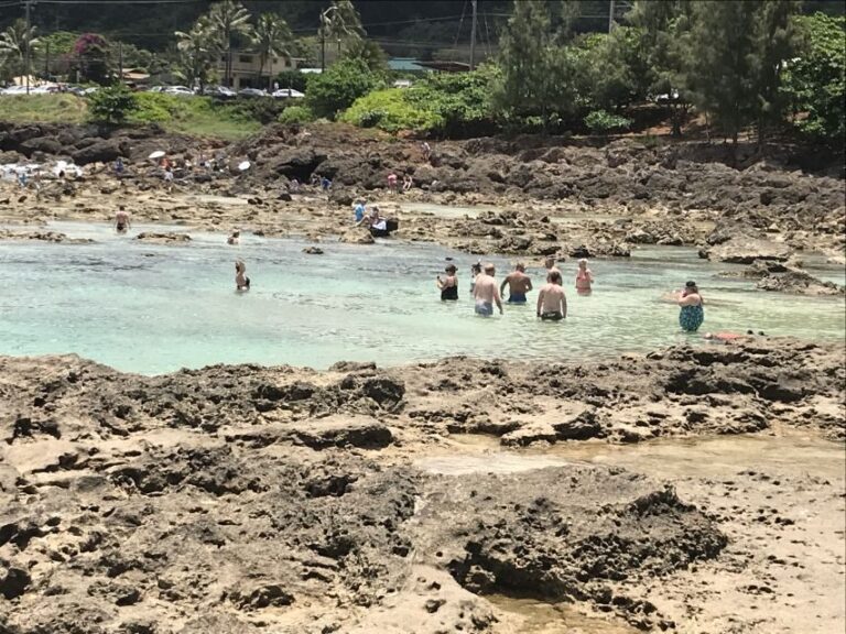 Oahu: Waimea Falls & valley & North Shore day - How the Tour Works
