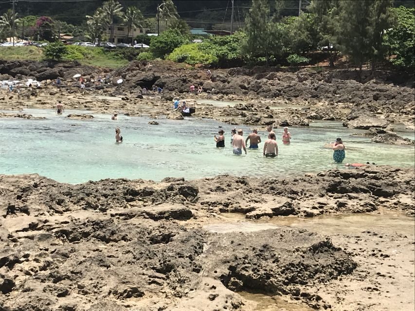 Oahu: Waimea Falls & valley & North Shore day - How the Tour Works