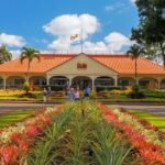 Oahu's Ultimate Grand Circle Island Tour with Snorkeling and More - Exploring the Itinerary in Detail