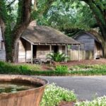 Oak Alley Plantation and Large Airboat Swamp Tour from New Orleans - The Swamp Adventure Begins