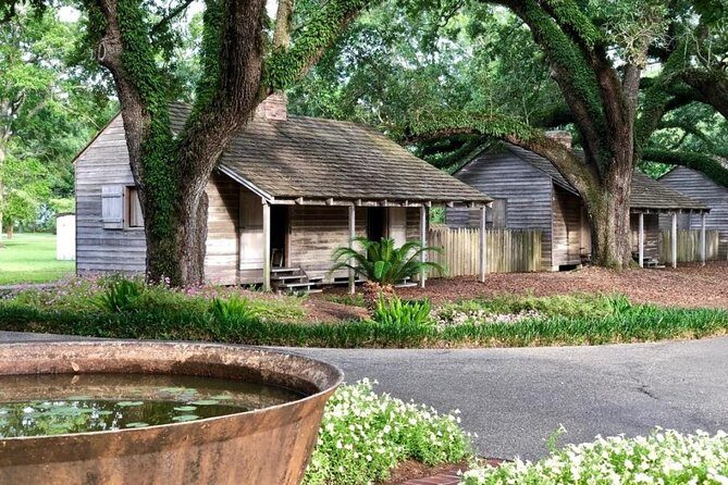 Oak Alley Plantation and Large Airboat Swamp Tour from New Orleans - The Swamp Adventure Begins