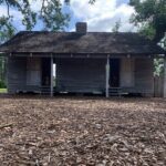 Oak Alley Plantation and NOLA Culture City Tour Combo - Exploring the Itinerary in Detail