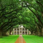 Oak Alley Plantation and Swamp Boat Tour from New Orleans - Detailed Itinerary Breakdown