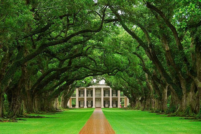 Oak Alley Plantation and Swamp Boat Tour from New Orleans - Detailed Itinerary Breakdown