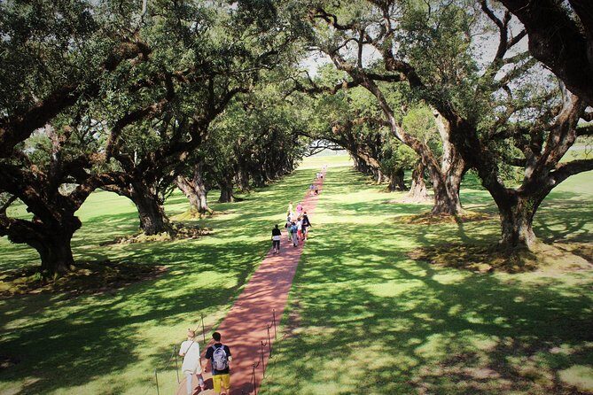 Oak Alley Plantation Tour with Transportation - What to Expect During the Tour