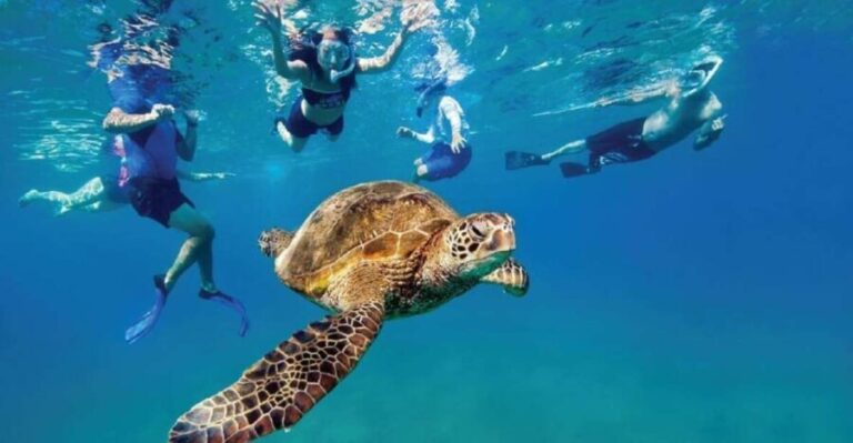 Ocean Reef Snorkeling and Paddleboarding - The Itinerary: A Closer Look
