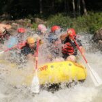 Ocoee River: Middle Ocoee Guided Rafting Tour - Who Will Love This Tour?