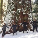 Off-Road Giant Sequoia 4x4 Tour - In-Depth Breakdown of the Itinerary