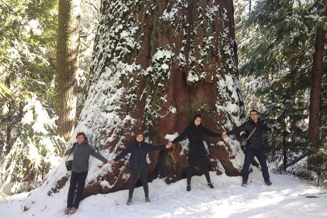 Off-Road Giant Sequoia 4x4 Tour - In-Depth Breakdown of the Itinerary