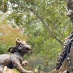 OFFICIAL Central Park Pedicab Tours - The Experience’s Practical Aspects