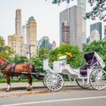 Official Private New York City Central Park Horse Carriage Ride Since 1965 - The Itinerary in Detail