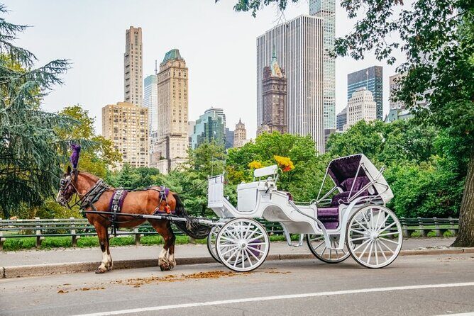 Official Private New York City Central Park Horse Carriage Ride Since 1965 - The Itinerary in Detail