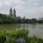 Official VIP Whole Central Park Horse Carriage Tour - The Detailed Itinerary