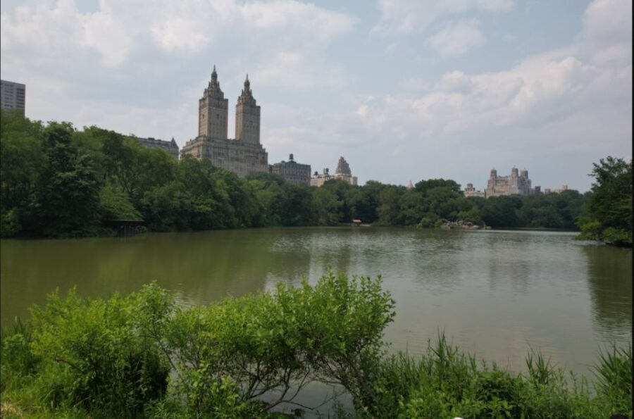 Official VIP Whole Central Park Horse Carriage Tour - The Detailed Itinerary
