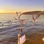 Ohrid City Walking Tour - Breaking Down the Itinerary