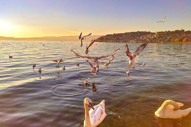 Ohrid City Walking Tour - Breaking Down the Itinerary