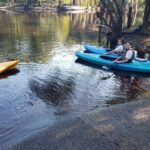 Okefenokee Swamp: Guided Kayak Tour with a Local Naturalist - The Itinerary in Detail: What You Can Expect