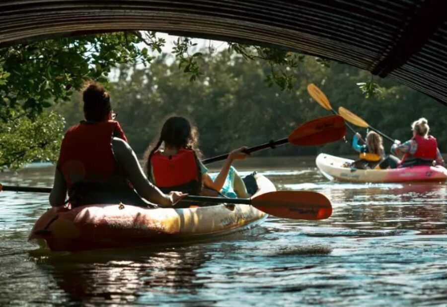 Oleta River State Park: Eco Kayak or Paddleboard Tour - What Do Reviews Say?