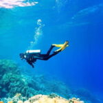 Oludeniz Half Day Scuba Diving Program - The Itinerary Breakdown