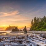 Olympic Full Day Private Tour and Hike - Who Should Book This Tour?