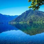 Olympic National Park Day Tour from Seattle - Guided Tours and Expert Insights