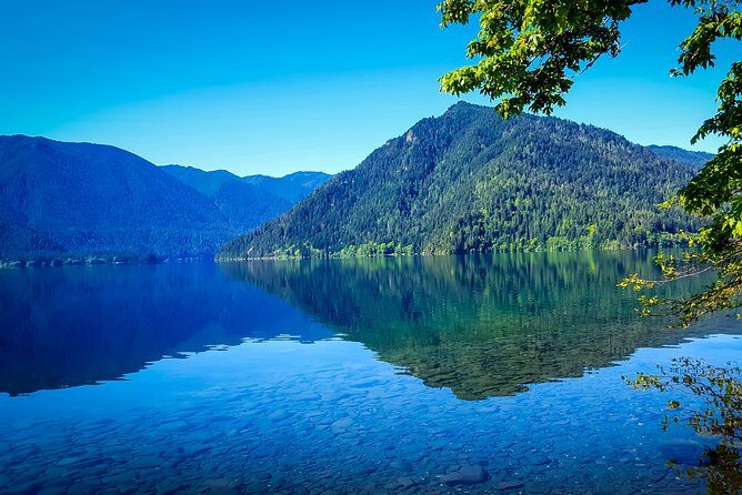 Olympic National Park Day Tour from Seattle - Guided Tours and Expert Insights