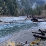 Olympic National Park: Half-Day Tour - Detailed Breakdown of the Itinerary