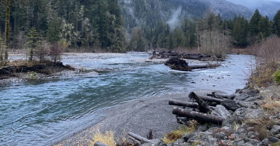 Olympic National Park: Half-Day Tour - Detailed Breakdown of the Itinerary