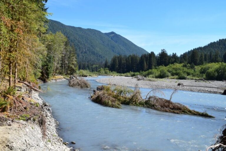Olympic National Park: Hoh Rain Forest and Rialto Beach Tour - What’s Included and What to Bring
