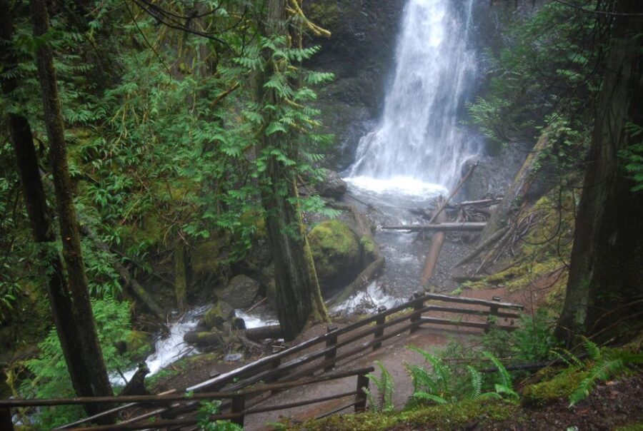 Olympic National Park: Sol Duc and Hurricane Ridge Tour - Value and Practicalities