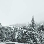 Omodos and Winiary tour, let's feel winter in Cyprus Mountain. - The Itinerary: What You’ll Experience