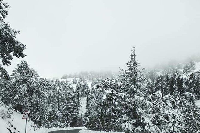 Omodos and Winiary tour, let's feel winter in Cyprus Mountain. - The Itinerary: What You’ll Experience