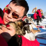 One Hour Experience Dog Sledding - The Mushing Experience