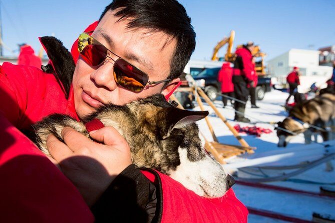 One Hour Experience Dog Sledding - The Mushing Experience