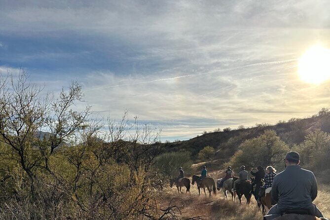 One Hour Guided Horseback Ride - What Our Reviewers Say