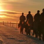 One-Hour Horseback Riding Tour in the Icelandic Countryside - FAQ