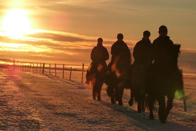 One-Hour Horseback Riding Tour in the Icelandic Countryside - FAQ