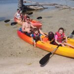 One Single Kayak Rental for 2 hours with Manatee & Dolphin sightings! - The Experience in Detail