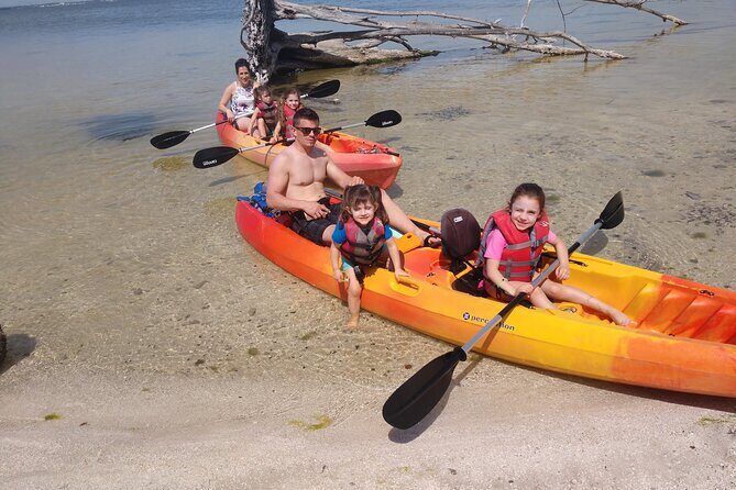One Single Kayak Rental for 2 hours with Manatee & Dolphin sightings! - The Experience in Detail