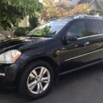 One Way Private Transfer from Snow Summit to Palm Springs Airport - Who Should Consider This Service