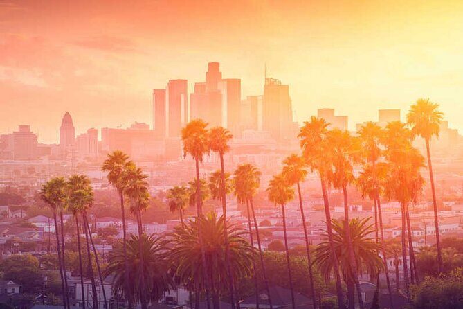 One-Way Private Transfers From/To Los Angeles Airport - Why This Transfer Offers High Value