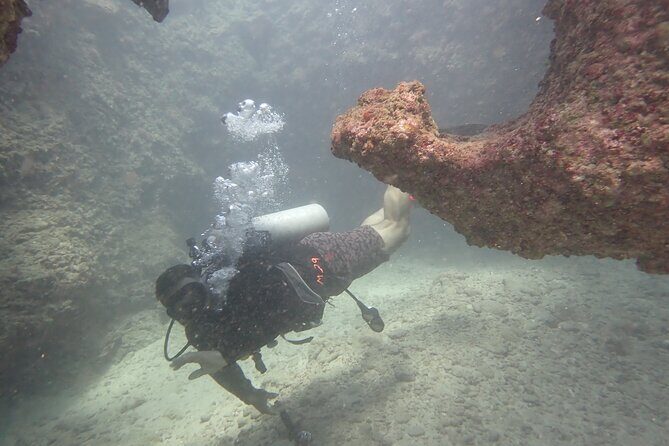 Open Water Scuba Certification - The Real Value: Is It Worth the Price?