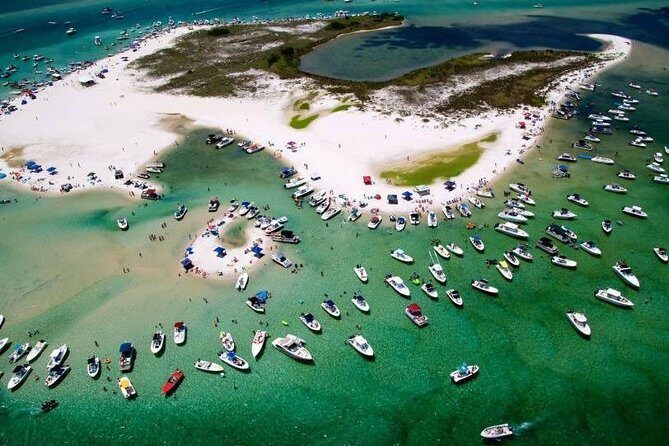 Orange Beach 1.5-Hour Bay Cruise - What Travelers Say