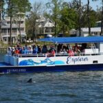 Orange Beach Dolphin Eco Boat Tour - What to Expect from the Experience