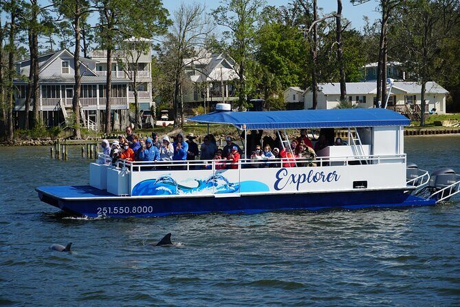 Orange Beach Dolphin Eco Boat Tour - What to Expect from the Experience