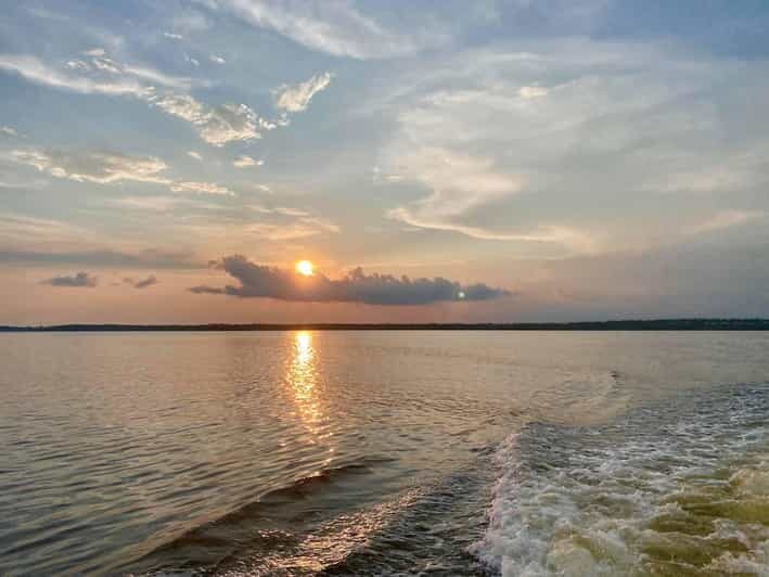 Orange Beach: Dolphin Eco Sunset Cruise aboard The Explorer - Wildlife Encounters: Dolphins, Birds, and More