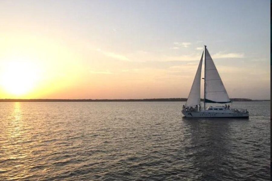 Orange Beach: Dolphin & Sailing Cruise Aboard 52' Catamaran - What to Expect from the Itinerary