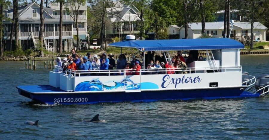 Orange Beach: Dolphin-Watching Eco-Boat Tour - Why the Guarantee Matters
