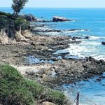 Orange County Coastal Sightseeing Tour - Authenticity and Special Touches